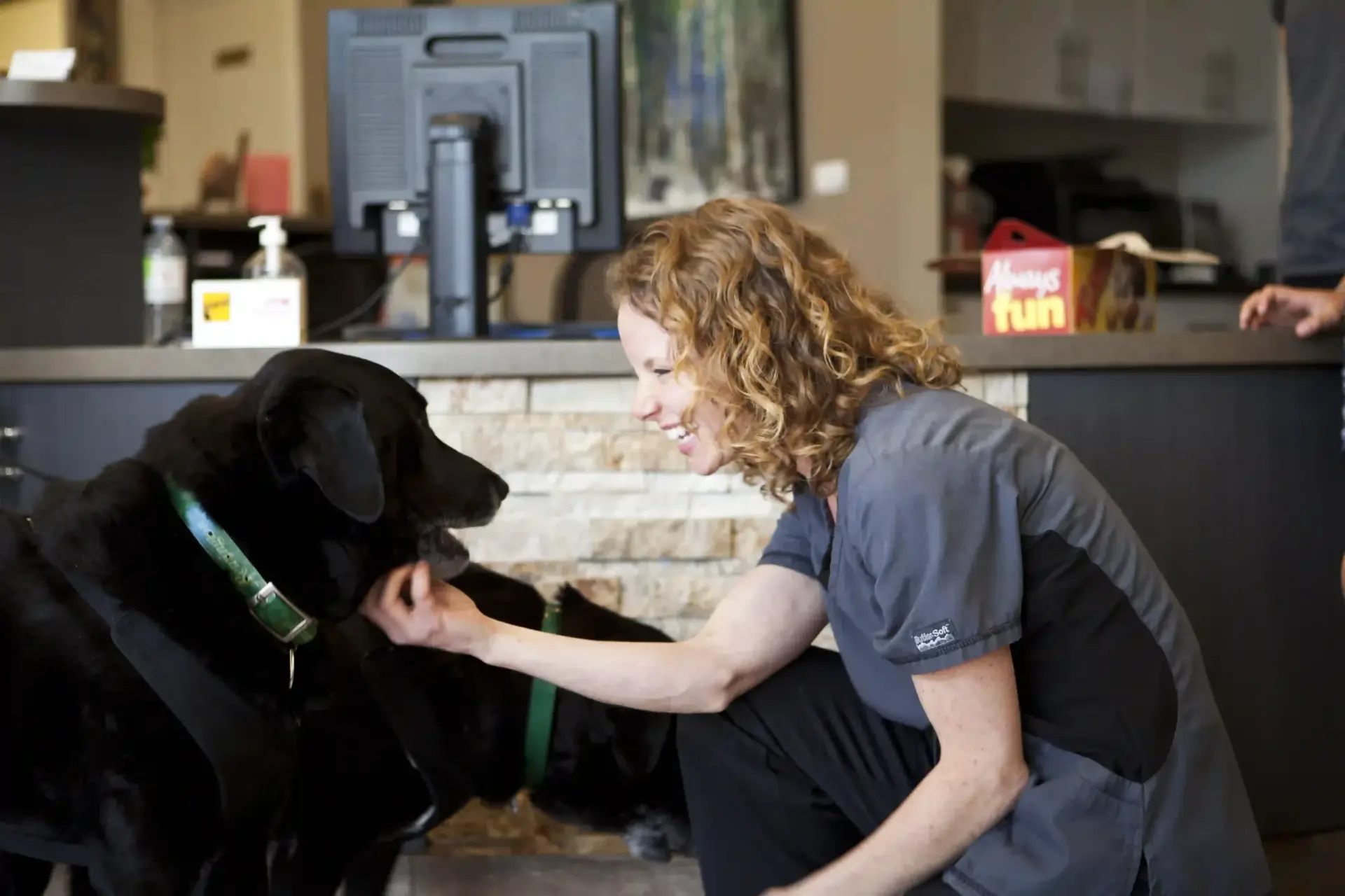 Home - Renforth Veterinary Clinic