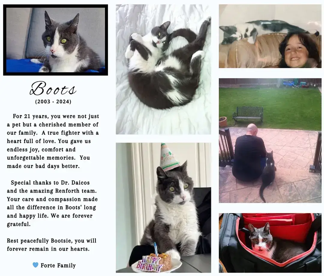 Boots - Renforth Veterinary Clinic